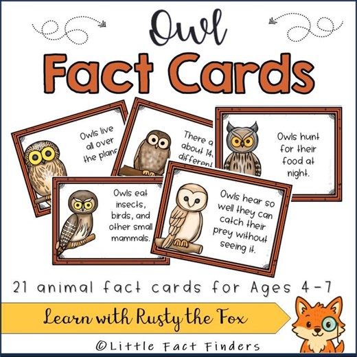 Owl Fact Cards for Kids | Homeschool Nature Study (digital Download) - Etsy