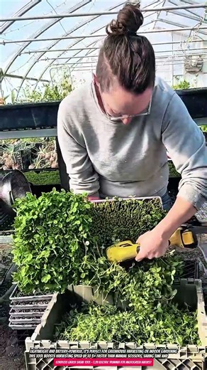 Cordless Grass Shear Tool – 7.2V Electric Trimmer for Microgreen Harvest