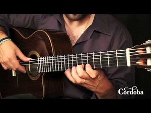 Cordoba Guitars - Fusion 14 Rose