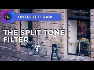 The Split Tone Filter - ON1 Photo RAW