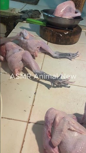 How to Clean Chicken Properly Before Cooking 🐔✨ | #Shorts