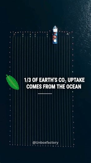 Norway is investing in massive offshore seaweed farms that naturally capture atmospheric CO₂ while providing a sustainable source of renewable biofuel. These underwater plantations grow rapidly without freshwater, fertilizer, or farmland—turning the ocean itself into a powerful climate solution. With its cold, nutrient-rich waters, Norway is emerging as a global leader in carbon capture through marine ecosystems. • Seaweed absorbs CO₂ up to 50 times faster than land plants, making it one of the 