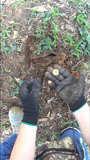 Este es el detector de metales Simplex Lite de Nokta