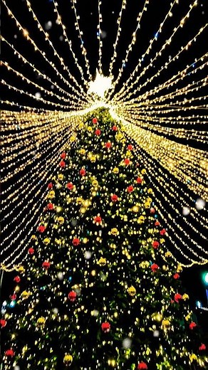 ✨ Carol of the Bells Moscow 🎄 | Christmas Trees & Winter Lights ❄️ | City Walks Around the World 🌍