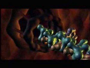 Michael Behe- Intelligent Design