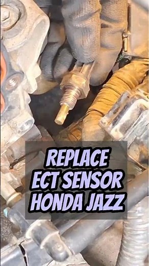 REPLACE ECT SENSOR #hondajazz #hondafit #enginecooling #sensor #temperature #automobile #cooling