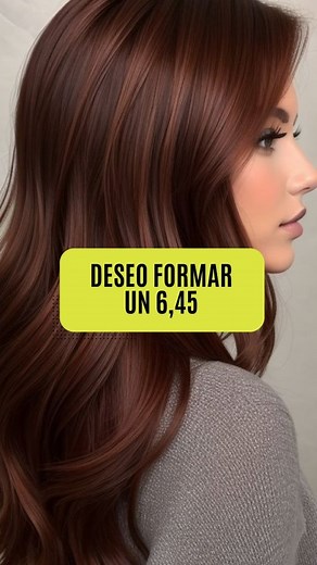 Creando tono 6,45 ¿Qué fórmula aplicamos? 🤔Opción 1: [1/2] 6,4 [1/2] 6,5 🤔Opción 2: [1/2] 6,4 [1/2] 7,5 📎Sígueme en @pedrocuervoacademy . . . . . #PedroCuervoAcademy #Teoriadelcolor #EstilistasProfesionales #Colorimetría #Tricologia #CosmeticaCapilar #Peluqueria #Balayage #HairStyles #estilistas #CursodeColorimetria #ColorimetriaAvanzada #Canas #ColoristasProfesionales #Coloristas #CursosOnline #HairColor #balayageeducation #balayageonline #reel #hairvideos | Pedro Cuervo Academy