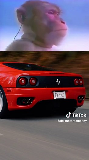 Custom Ferrari 360 Capristo Exhaust Showcase