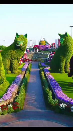 #dubai #garden #secnery #nature #beautiful