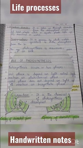 CHAPTER 1 | LIFE PROCESSES | CLASS 10 |HANDWRITTEN NOTES PART 1