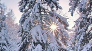 Зимняя Тверь