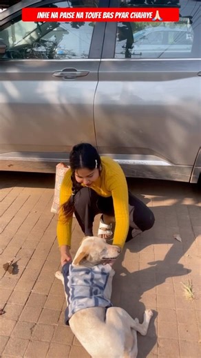 Inhe Na Paise Na Toufe Bas Pyar Chahiye🙏🏻#streetdog #happy #feed #love #viral