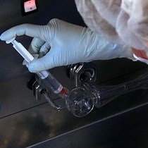 Video: An Experimental Model to Study Tuberculosis-Malaria Coinfection upon Natural Transmission of Mycobacterium tuberculosis and Plasmodium berghei