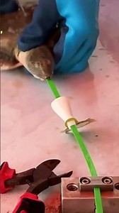 Installation process of a cover onto a turtle head to prevent it from biting people