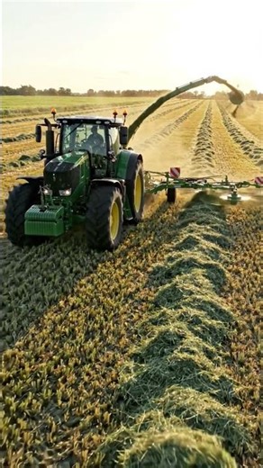 This Tractor Makes Perfect Hay Rows 😍🚜