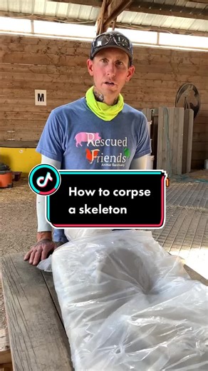 Take an ordinary skeleton and corpse him for the best Halloween ever #corpse #halloweentiktok #skeleton #learntiktok #DayInMyLife
