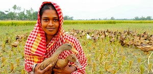 The Concept of One Health Turns Global in 2021: How it was Born - Impakter