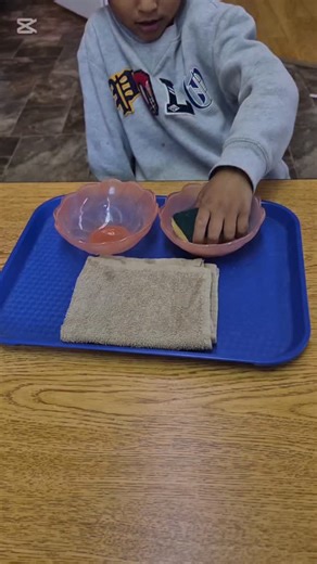 A simple Montessori practical life activity—transferring water with a sponge! Great for focus, coordination, and independence. 💧🧽 #montessori #practicallife #toddleractivities #preschoolactivities #montessoritoddler #montessorikids #montessoriathome #montessoriclassroom #finemotor #earlylearning #learningthroughplay #teacherlife #ece #handsonlearning #trendingteachers | Trending Teachers