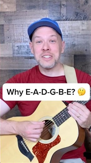 WHY are the guitar strings in this order?