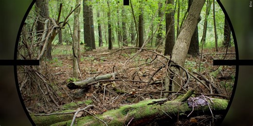 Applications open for youth muzzleloader deer hunt