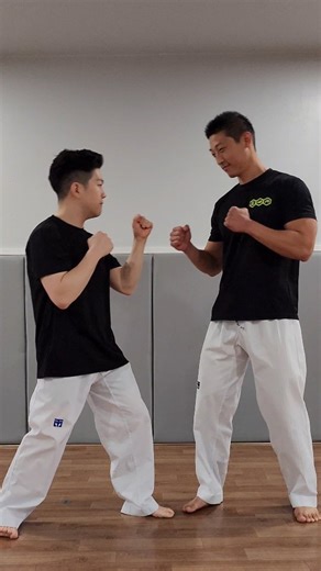 Elevate Martial Arts on Instagram: "Which do you prefer? . . . . . . #elevatemartialarts #elevateyourself #elevate #ema #taekwondo #tkd #karate #poomsae #sparring #kata #martialartist #martialarts #gym #training #workout #coach #master #student #justforfun #reels #reelsinstagram #instagramreels #tiktok #tiktokviral #explorepage #explore #foryoupage #foryou #fyp #fypシ"