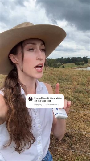 Avery Claire Wrigglesworth | Lily Hill Farm on Instagram: "How we test our Johnson grass after a stress event (drought or frost) for prussic acid. I use cyantesmo paper. Search for “cyantesmo paper” on a browser and you should be able to find several website that sell the tape."