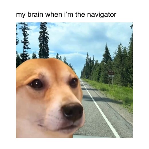 that's what u get for putting me in charge of directions | Camping World