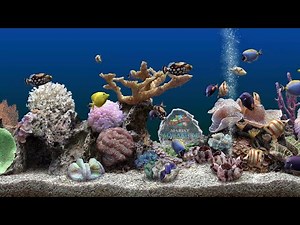 Marine Aquarium 3