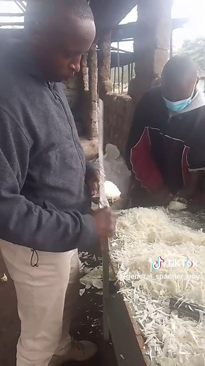 General spanner boy on TikTok