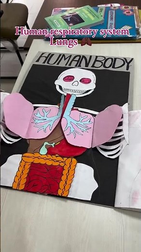 Human Body Project Ideas
