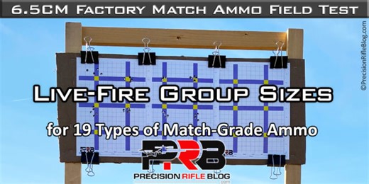 Took the Ruger Predator Gen II .308 Out for Its First Shots — Ammo Test Video