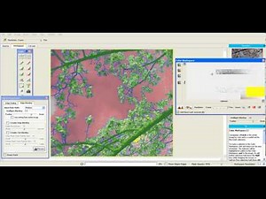 Fluid Mask 3 - Trees & Lattices #1