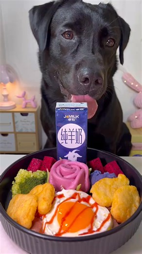 #labrador #dog #asmr #immersive #eating #feed #pet #animal #Dogmom #ASMR #CUTE | ASMR with Jackie