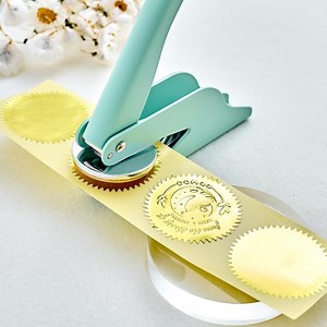 Custom Book Embosser,personalized Book Embosser,custom From the Library of Book Stamp,library Embosser,book Stamp Embosser,book Lover Gifts - Etsy