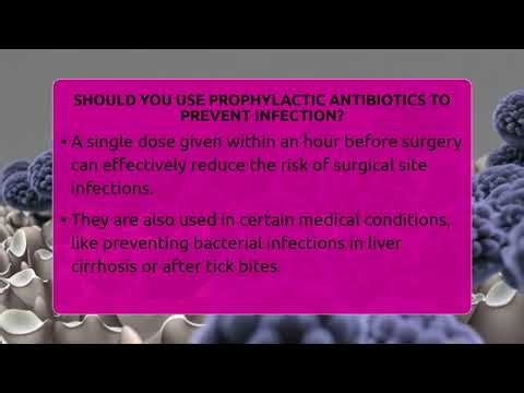 Should You Use Prophylactic Antibiotics To Prevent Infection? - The Disease Encyclopedia