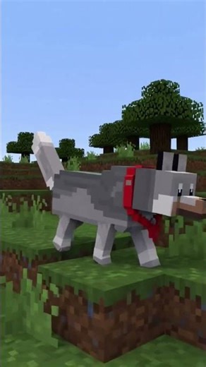 Minecraft baby wolf pet