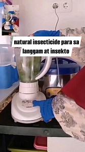 DIY natural insecticide #gardeningtips #gardening #fypシ #followersreels #SustainableLiving #fblifestyle #natural #insecticide #viralvideoシ #followerseveryone #virals | Canaan All in One Fertilizer Original Direct Supplier