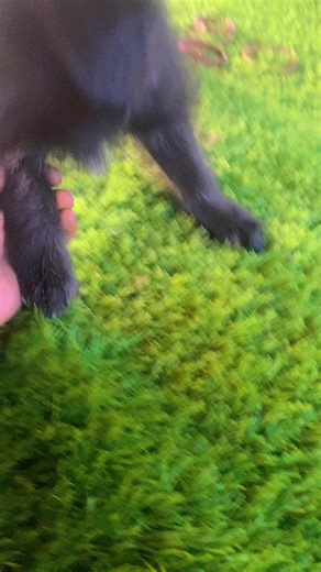 Exploring the Intuitive Empath: Muyu's Insights