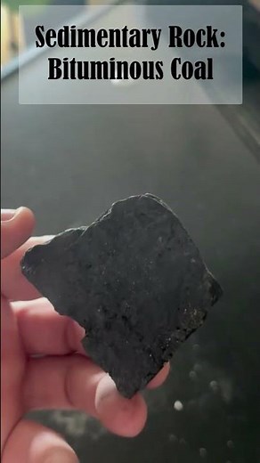 Sedimentary Rock: Bituminous Coal