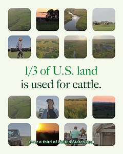 21K views · 117 reactions | The food you love — with a better environmental footprint.  By using practices like rotational grazing, beef production can help mitigate the effects of climate change. https://www.cargill.com/sustainability/regenerative-agriculture/rotational-grazing?utm_source=organic&utm_medium=facebook&utm_campaign=FoodSecureWorld | Cargill | Facebook
