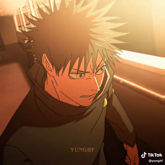 Megumi Fushiguro's Domain Expansion Explained