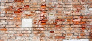 4 Tips for Getting Rid of Mildew Smell in the House | DoItYourself.com