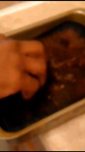 Looks a little dry...🤭 #afv #funny #cake | AFV Classics