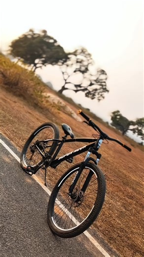 Cinematic ♥️✨ #stuntbicycle #mtb #mtbfreestyle #shortsviral #shorts