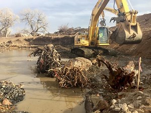 Root Wads - streamhandbook.org