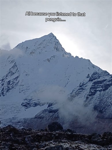 Its your sign to climb those mountains🏔 • • • #hiking #penguin #mountains #🐧 #mountain