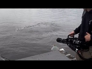 M134 MINI GUN AIRSOFT SHOOTING AT THE LAKE