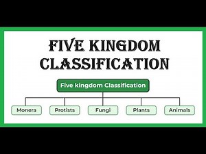 Five Kingdom Classification System