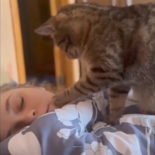 139K views · 4.1K reactions | The best kind of alarm clock 殺✨ | 햧 헒 헉 헇 허 헍 헂 헓 햾 | Facebook