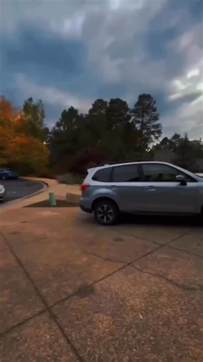 Soft mornings, cozy spaces, and thoughtful details waiting for you. From the moment you arrive, everything is designed to help you slow down, relax, and truly enjoy the experience. This is not just a stay, it is the kind of getaway that feels easy, beautiful, and unforgettable. Ready for your next escape? Book your stay with Homebody Properties and experience the difference. #HomebodyProperties #CozySTaysAtArizona #VacationRentalVibes #ArizonaRentals #FlagstaffVacationRentals | Homebody Properti